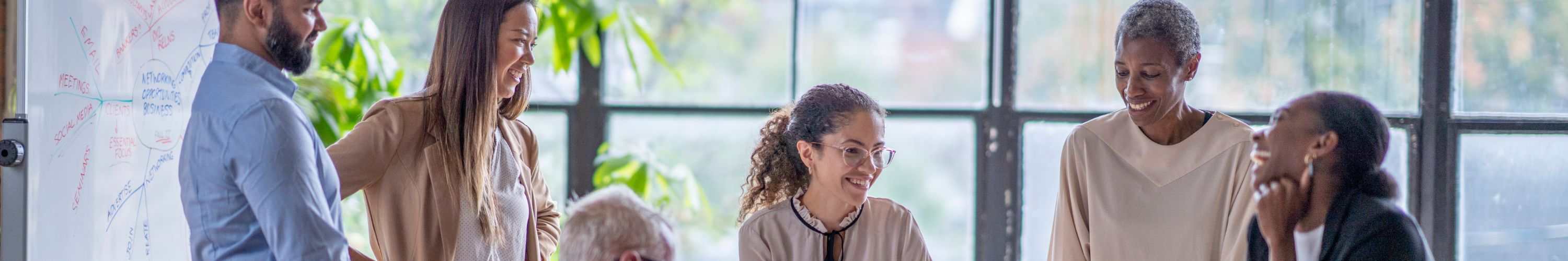 Audit et Diagnostic Alphéa Executive